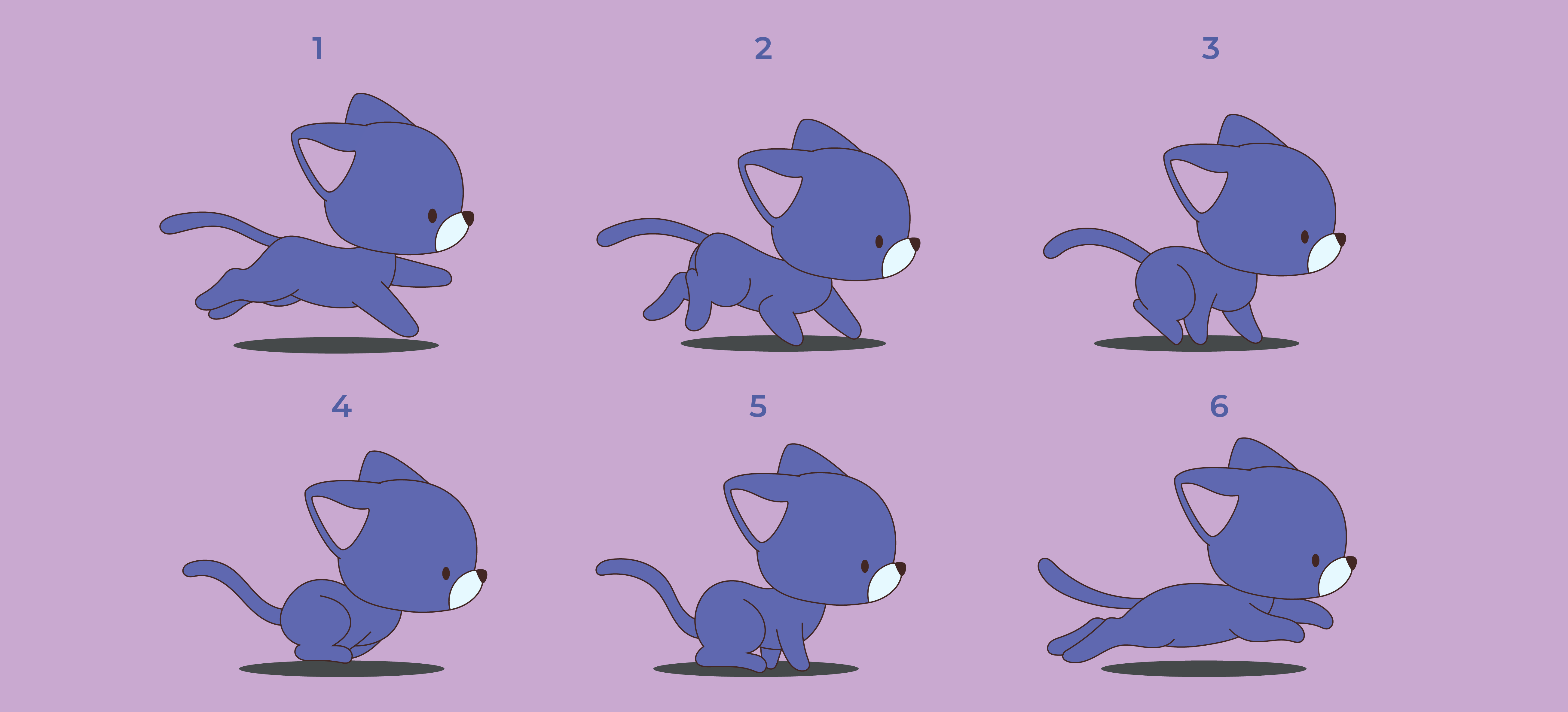 Creating GIFs with code | Callysto